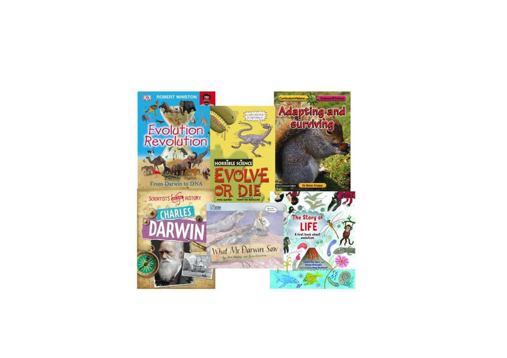 Learning Resources Hub (formerly WSLR)